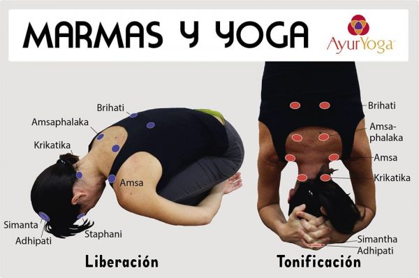 MARMAS Y YOGA - Holística Formación