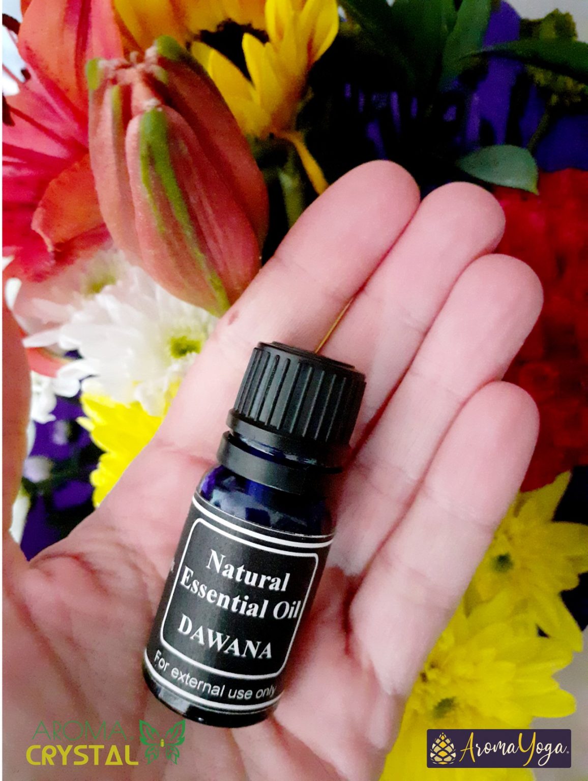 ACEITE ESENCIAL DAWANA (ARTEMISIA PALLENS) - Holística Formación