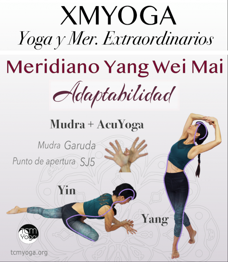 XMYOGA - YANG WEI MAI - Holística Formación