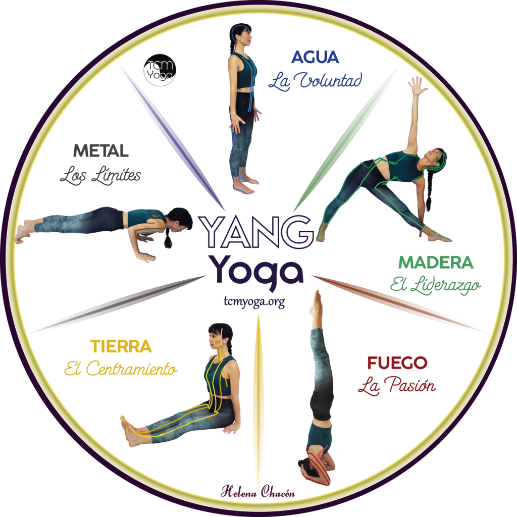 ¿QUÉ ES YANG YOGA DE TCMYOGA®? - Holística Formación